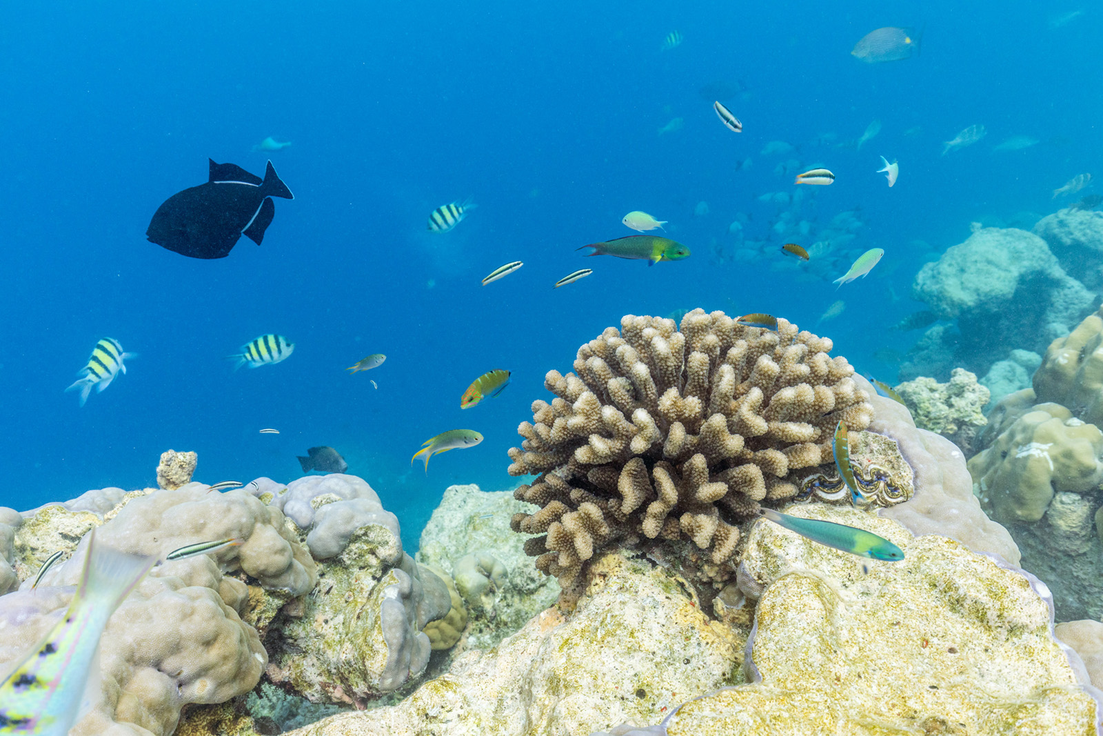 Untitled 1 [www.davidchapman.org.uk]