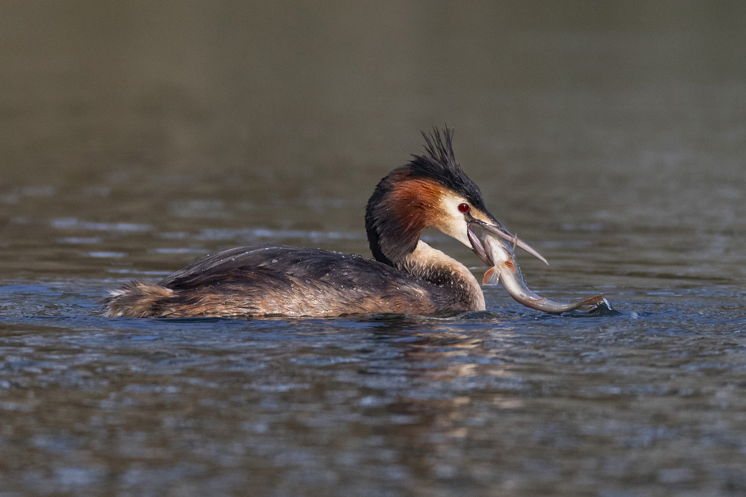 Untitled 1 [www.davidchapman.org.uk]