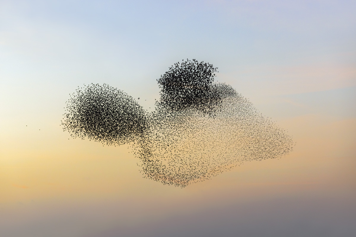 Untitled 1 [www.davidchapman.org.uk]