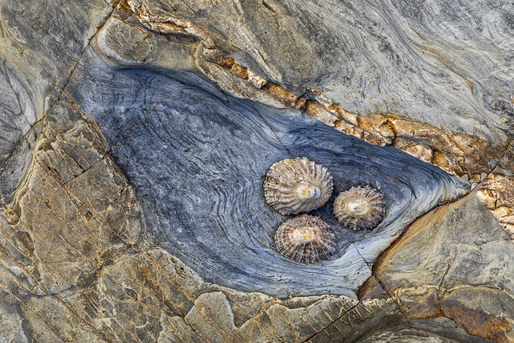 Untitled 1 [www.davidchapman.org.uk]