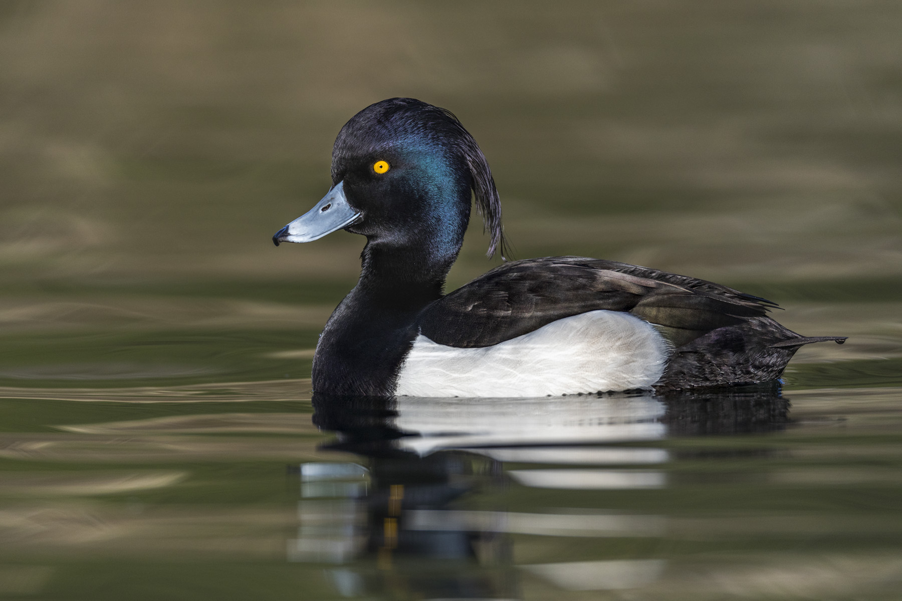 Untitled 1 [www.davidchapman.org.uk]