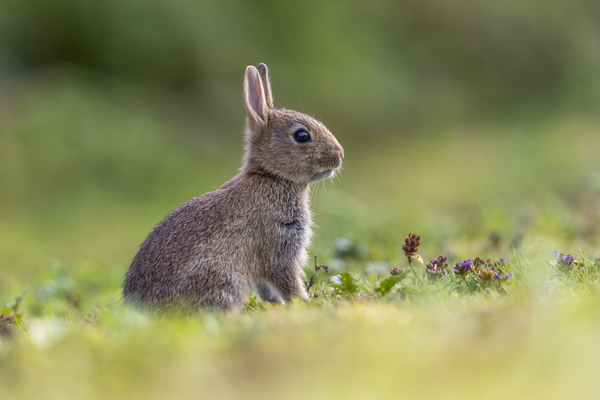 Untitled 1 [www.davidchapman.org.uk]