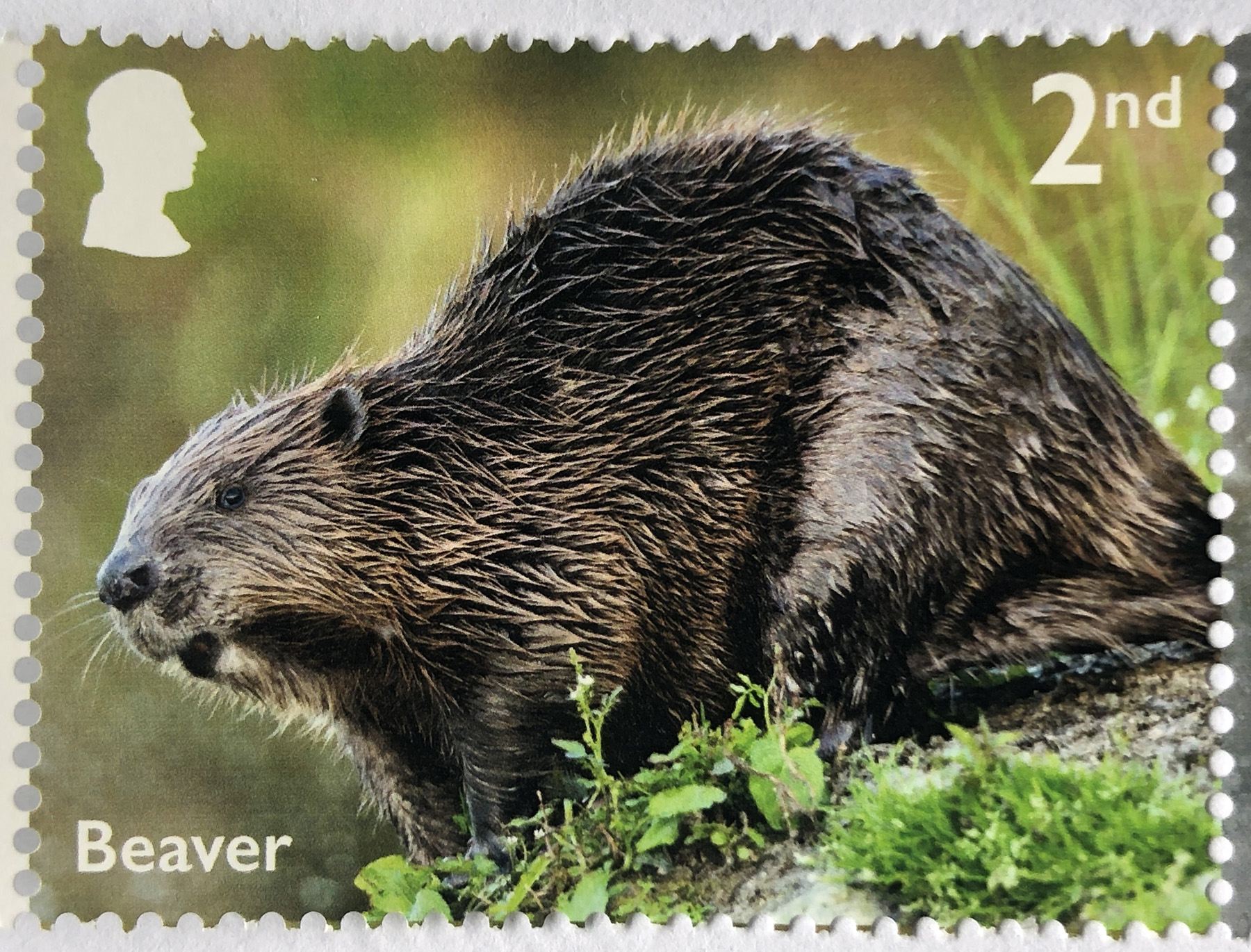 Untitled 1 [www.davidchapman.org.uk]