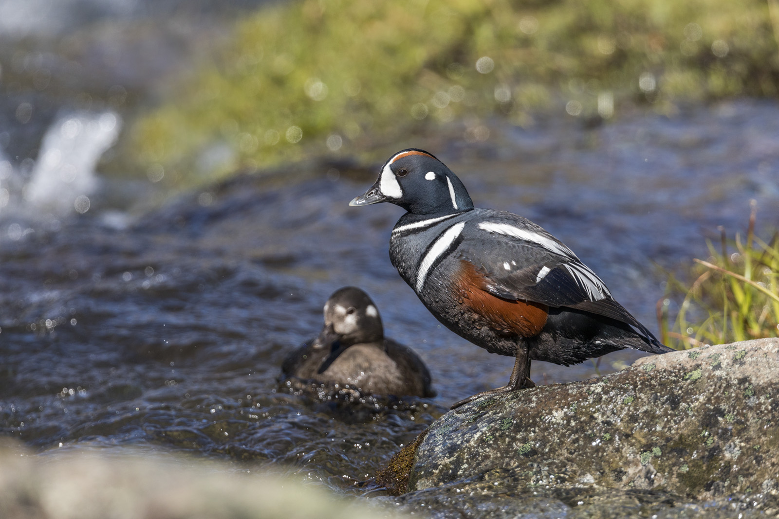 Untitled 1 [www.davidchapman.org.uk]